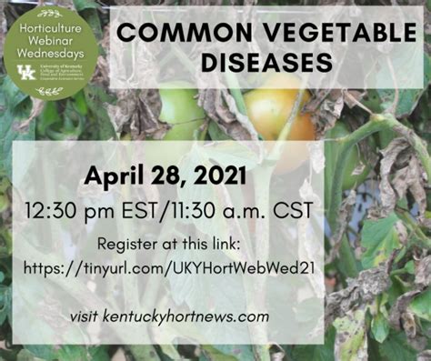 Common Vegetable Diseases Kentucky Hort News