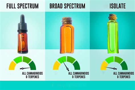 Full Spectrum Vs Broad Spectrum Vs Isolates Royal King Seeds