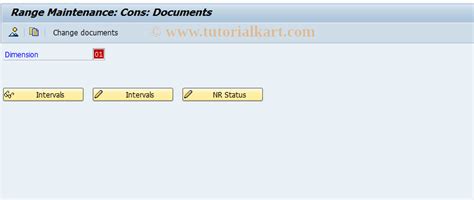 CX53 SAP Tcode Number Range Maintenance CX53 SAP Tcode Number Range Maintenance