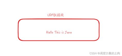 Socket、udp、tcp协议和简单实现基于udp的客户端服务端 Ew帮帮网