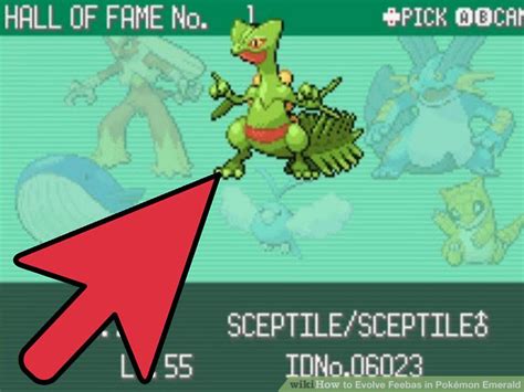 How to Evolve Feebas in Pokémon Emerald Steps with Pictures