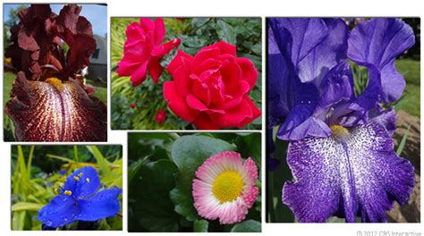 Sony Cyber Shot Dsc Wx150 Sample Pictures Cnet