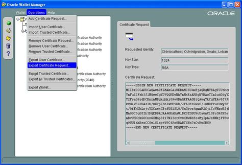 Learning Soa Using Oracle Wallet Manager To Request A Certificate And