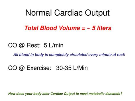 PPT How Do We Measure Heart Performance Cardiac Output Blood Volume Per Minute PowerPoint