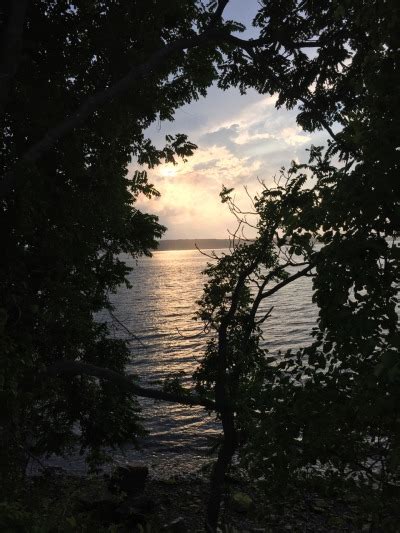 Explore The Tumbex