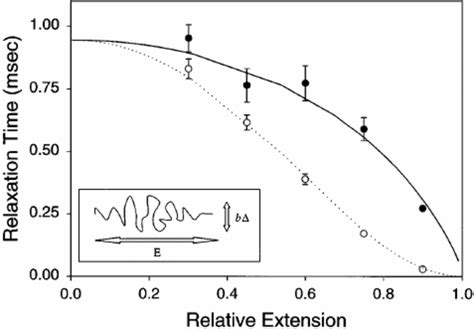 Relaxation Time As A Function Of Extension Including Preaveraged Download Scientific Diagram