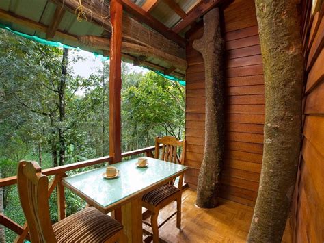 Tree House Resort Munnar Falocasa