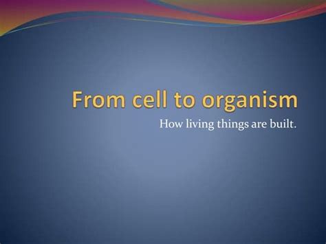 Austin Cell Biology Ppt