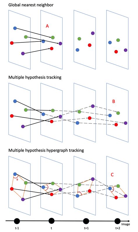 211106425 Multiple Hypothesis Hypergraph Tracking For Posture Identification In Embryonic