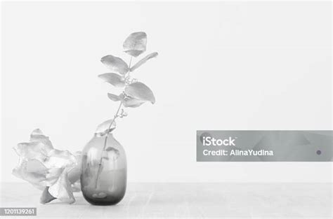 우아한 검은 색 유리 화병 복사 공간이있는 나무 판에 장식 금속 분기와 아늑한 흰색 홈 장식 배경 주제에 대한 스톡 사진 및