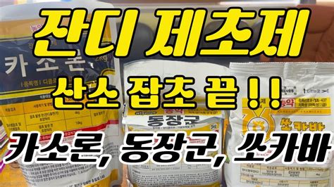 잔디 제초제 카소론 동장군 쏘카바 Shorts 쇼츠 잔디제초제 잔디관리 잔디정원 잔디마당 잔디깎기 산소관리 벌초 유튜버 Youtube Youtube