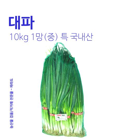 대파 10kg중 1망 파라도