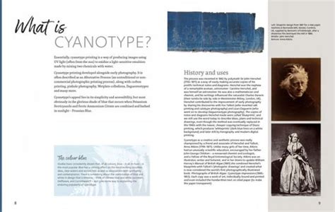 Beginners Guide To Cyanotype Beautiful Projects To Print With Light By Kim Tillyer Paperback