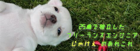 【java】値プリミティブ型と参照オブジェクト型の違いをコードと図で解説《講義1日目》 ｜ 25歳でフリーランス28歳で起業したエンジニア じゃけぇ のあれこれ