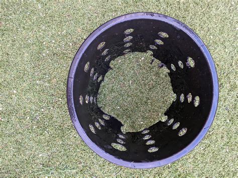 In Ground Worm Farm 8 Steps With Pictures Instructables