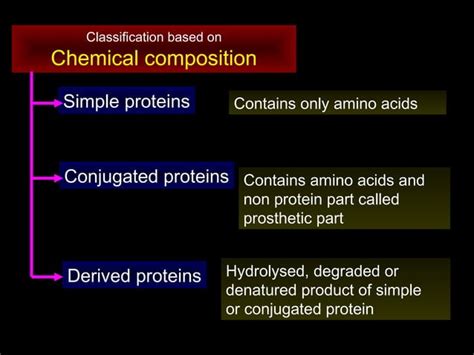 Class 6 Protein Chemical Clssification Ppt