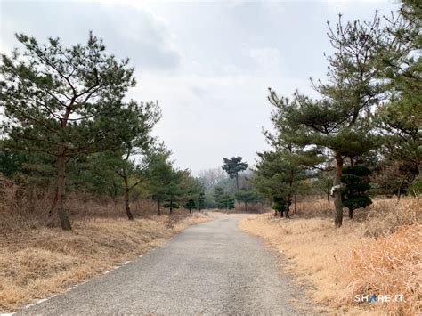 야외시설 캠퍼스 외곽 산책로 신안산대학교 쉐어잇