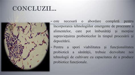 Probiotice Microbiology Probioticele Ppt