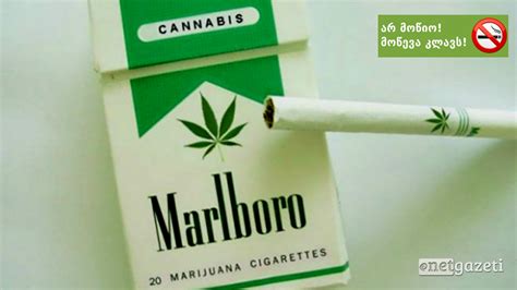 მარიხუანის კომპანია მარლბოროსთან საინვესტიციო მოლაპარაკებას დათანხმდა Bbc Netgazeti