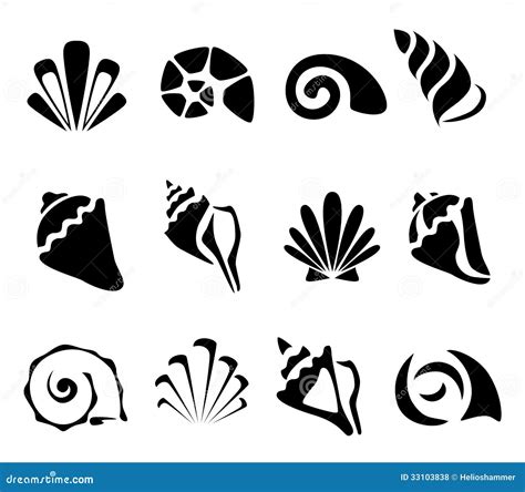 Abstract Shell Symbol Set Stock Vector Image Of Beauty 33103838