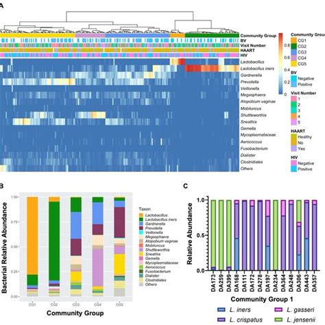 Bacteriome Profiling By Community Group Of Self Collected Vaginal Swabs Download Scientific