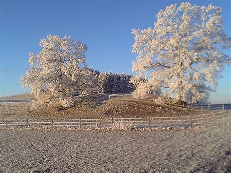 Merry Christmas Bertrandt Systems And Consulting Gmbh