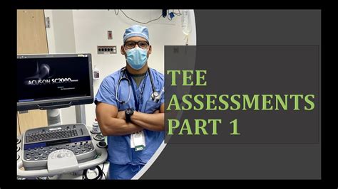 Transesophageal Echocardiography Tee Assessments Part 1 Youtube