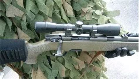 Ssg