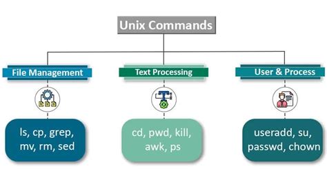Unix Scripting Guide Learn Bash Scripting Basics 2025
