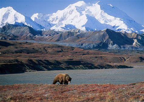 Alaska And Yukon Tour Audley Travel Uk