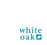 White Oak Alternative Asset Management Firm