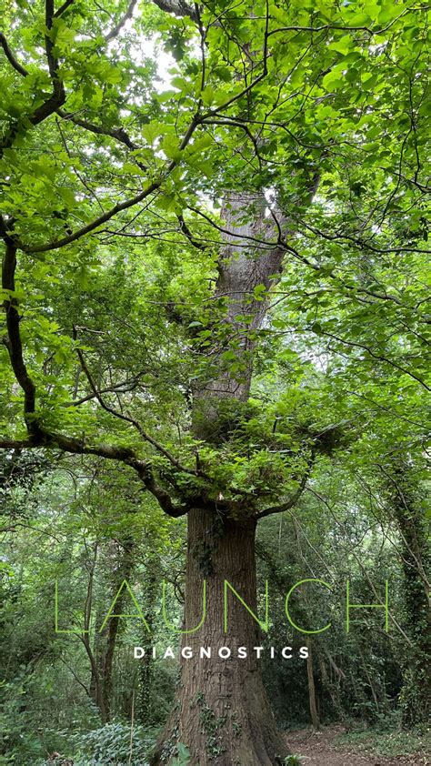 At Launch Diagnostics Were Committed To Providing Innovative