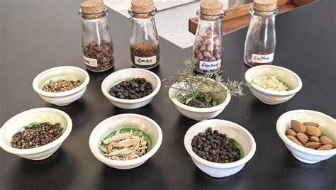 How To Make Gin A Complete Guide Diy Distilling