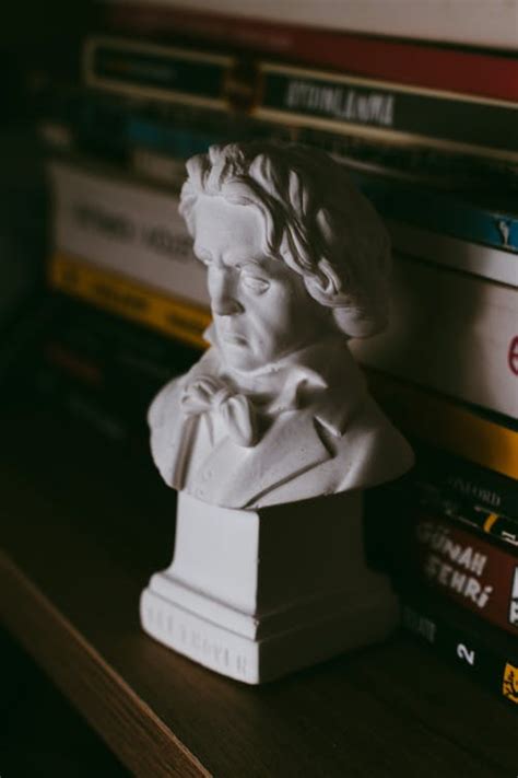 건축 고요한 고전 예술 골동품 공부하다 교육적인 그림자 깁스 도서관 도자기 독서광 독서하는 동상 디테일 문학 문화적 베토벤 빈티지 서적