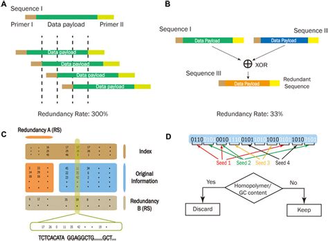 Redundancy Types Used In DNA Based Data Storage Schemes A Increasing Download Scientific