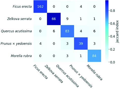 Confusion Matrix For The Classification Of Five Species Accuracy Was Download Scientific