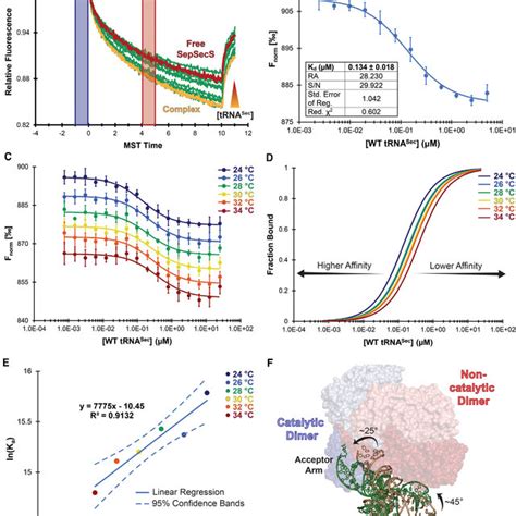 The Sepsecs•trna Sec Complex Formation Is Enthalpically Driven To Download Scientific Diagram