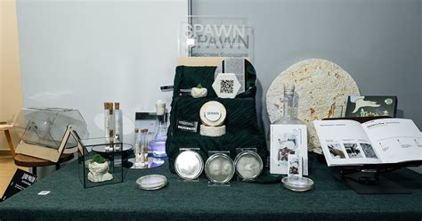 В СанктПетербурге запустили серийное производство мебели и материалов из грибов и вторсырья в