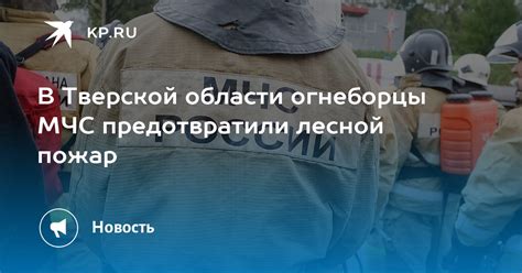 В Тверской области огнеборцы МЧС предотвратили лесной пожар Kp Ru