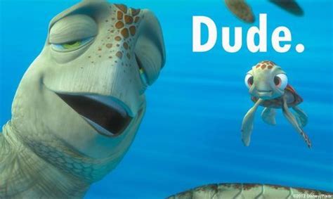 Turtle From Finding Nemo Quotes QuotesGram