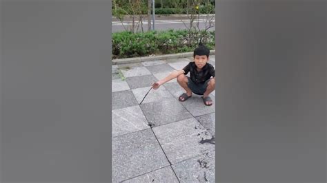 Em Vọc Con Sâu Võ Trọng Sang Youtube