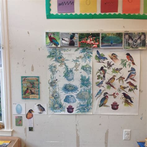 Bird Themed Dramatic Play Gallery Wall Dramatic Play Bird