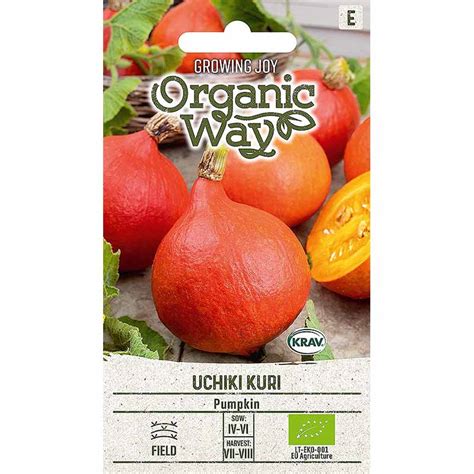 Pumpkin Uchhiki Kuri Seeds Theseedstoreeu