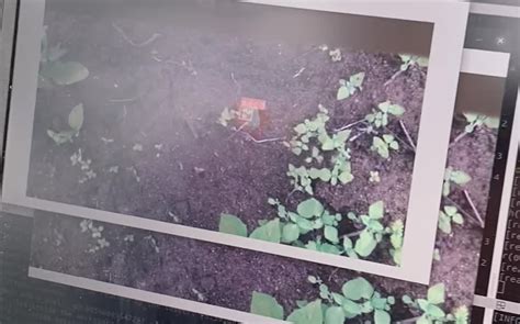 Kaizen Robotics On Linkedin Agritech Innovation Farming Ros2