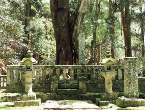 戦国時代に策略家として名を馳せた毛利元就はどんな人生を歩んだのか 歴史人