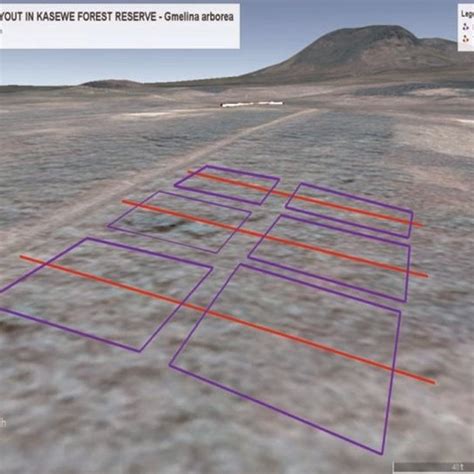Plot Layout And Dimensions In Systematic Sampling Design Download