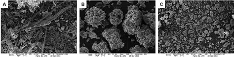 Scanning Electron Microscopy At 500x Magnification A Ground Soybean
