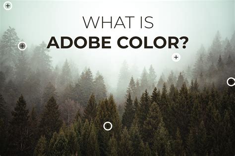 What Is Adobe Color Taylor Hieber Fundamentals Of Design