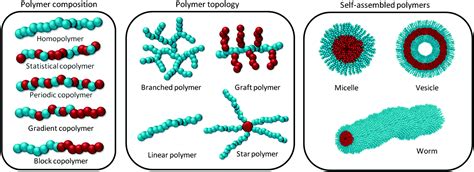 Linear Polymer Structure