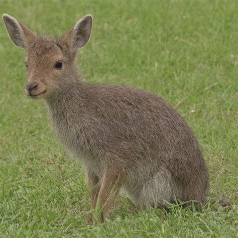 Quantum Noise To Image Example R StableDiffusion